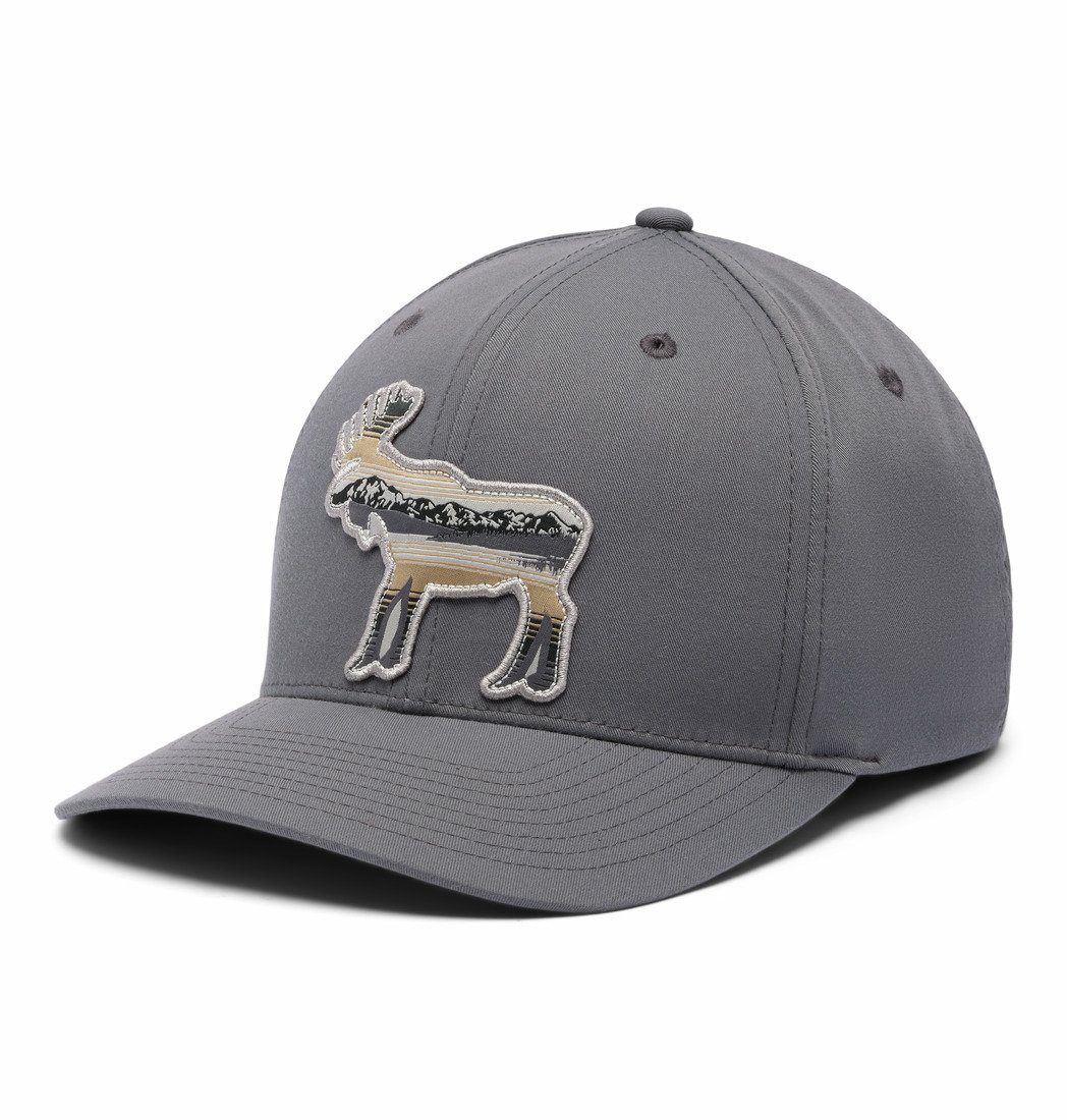 Kšiltovka Columbia Lost Lager™ 110 Snap Back 1991281024 - city grey ...